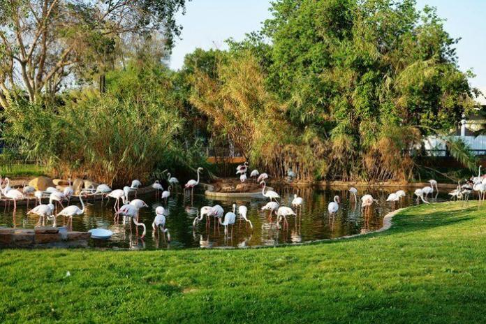 Top Tourist Attractions in Riyadh