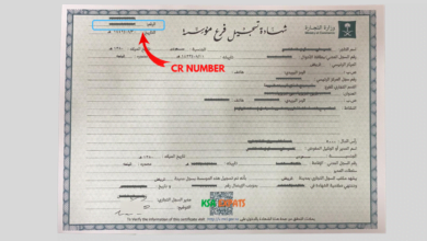 CR Number in KSA: How to Find and Verify It?