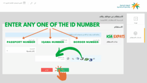 How to Check Your Iqama Red-Green Color Status - KSAexpats.com