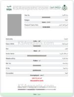 How to Verify Your Saudi QR Code eVisa