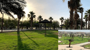 8 Things to Do in Riyadh, Saudi Arabia