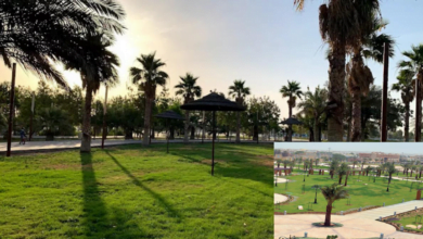 8 Things to Do in Riyadh, Saudi Arabia