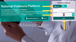 How to Check Your Traffic Violation Fines in 2024