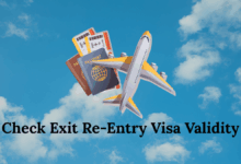 How to Check Exit Re-Entry Visa Status in Saudi Arabia (2025)