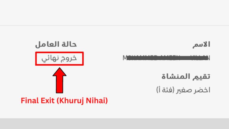 How To Check Your Final Exit Visa Status