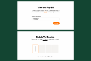 How to Check Electricity Bill Saudi Arabia – SoftDoze