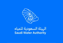 Saudi Arabia Expands eVisa Access to 63 Countries